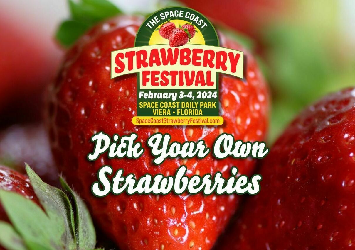 Space Coast Strawberry Festival. Fairs and Festivals Events in WIKI ...