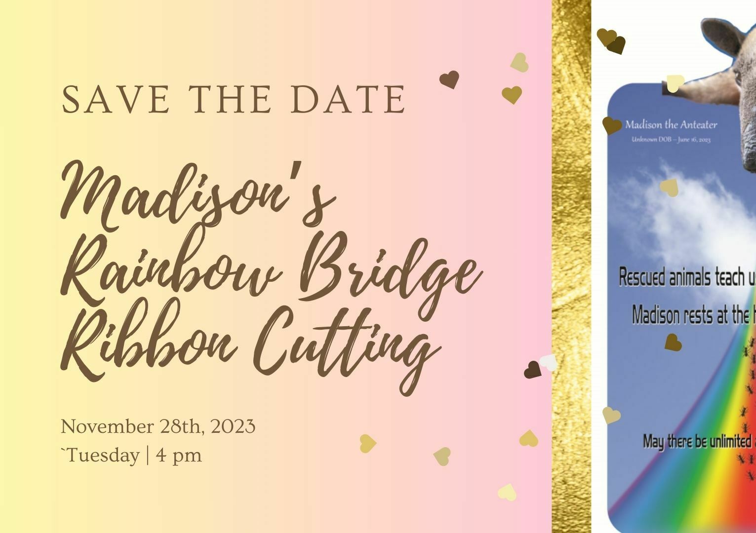 Romelia Farms - WIKI Recreation - petting zoo